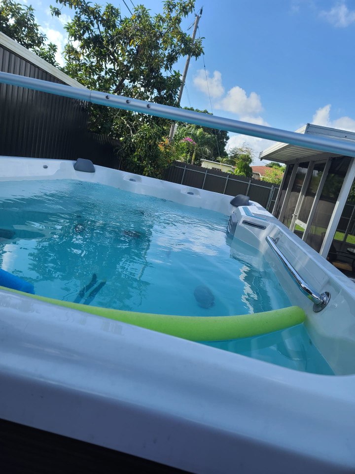 Swimming Spa For Relaxing. - North Miami, FL