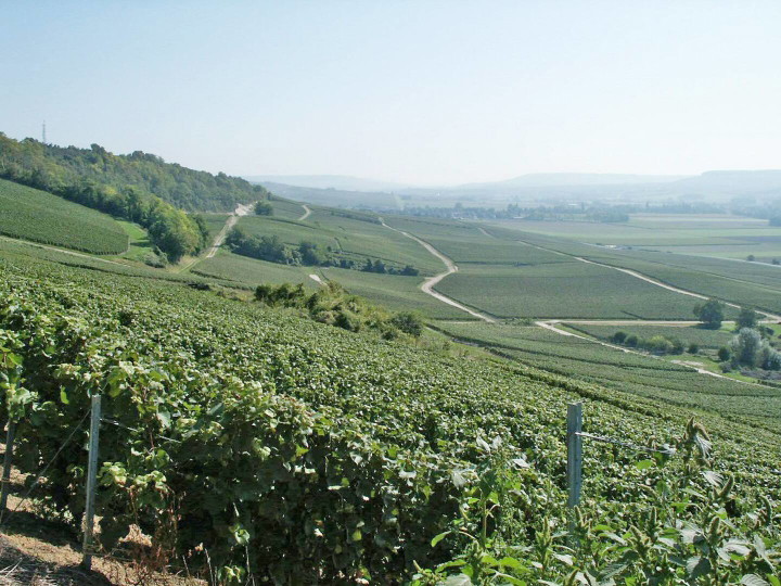 Gîte Bacchus - Épernay