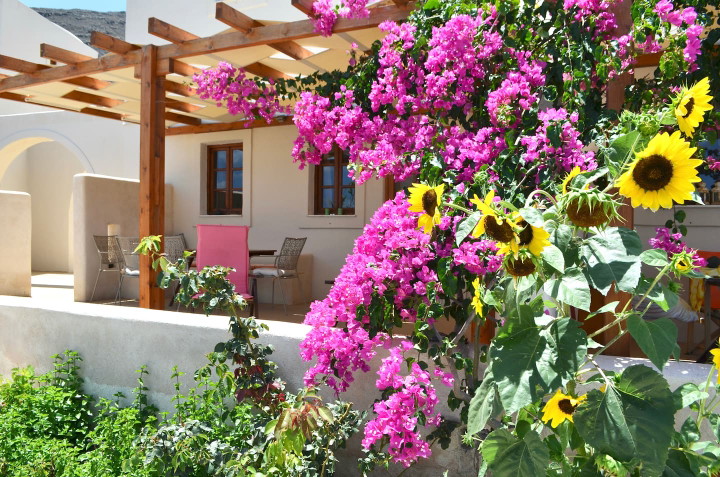 Cactus Hideaway With Sea Views - Santorini