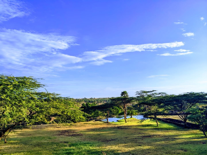Cozy Bush Escape Bordering Nairobi National Park - Nairobi