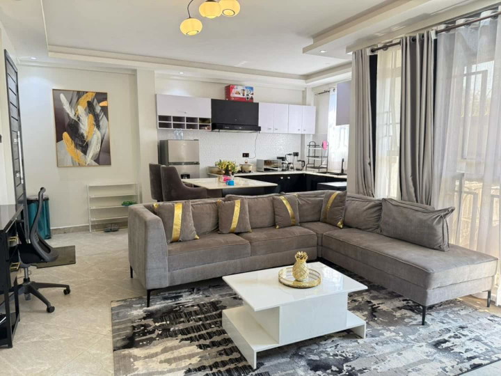 Ac | 2 Tvs | Wifi | Backup Power | Weekly Cleaning - Kampala