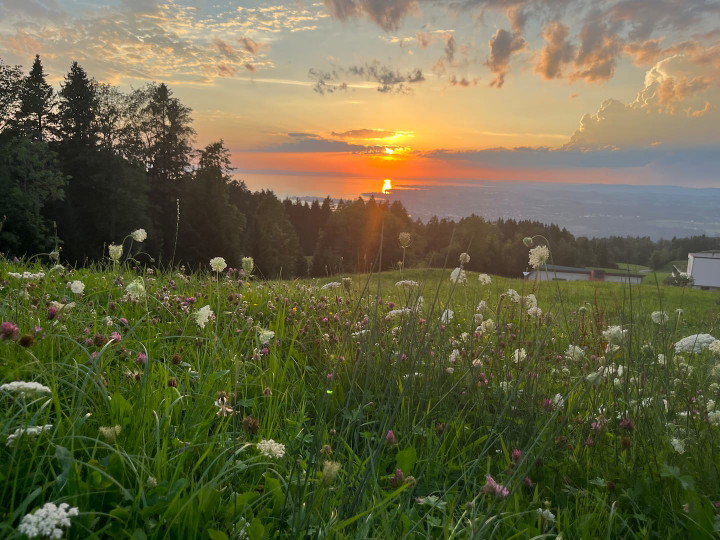 Chalet Sonnenhalde - Bregenz