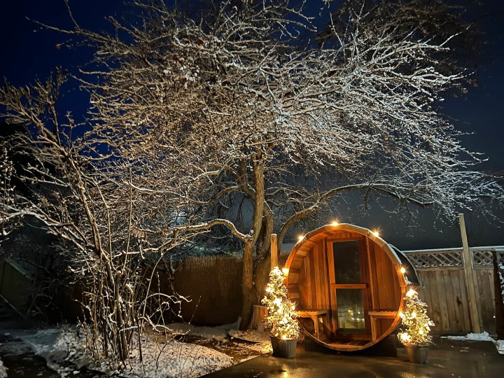 Private King W/ Barrel Sauna & Patio Oasis - Canada