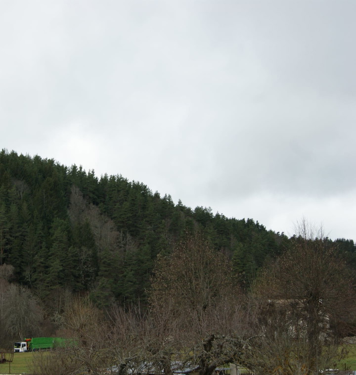 Calme Et Repos - Lozère