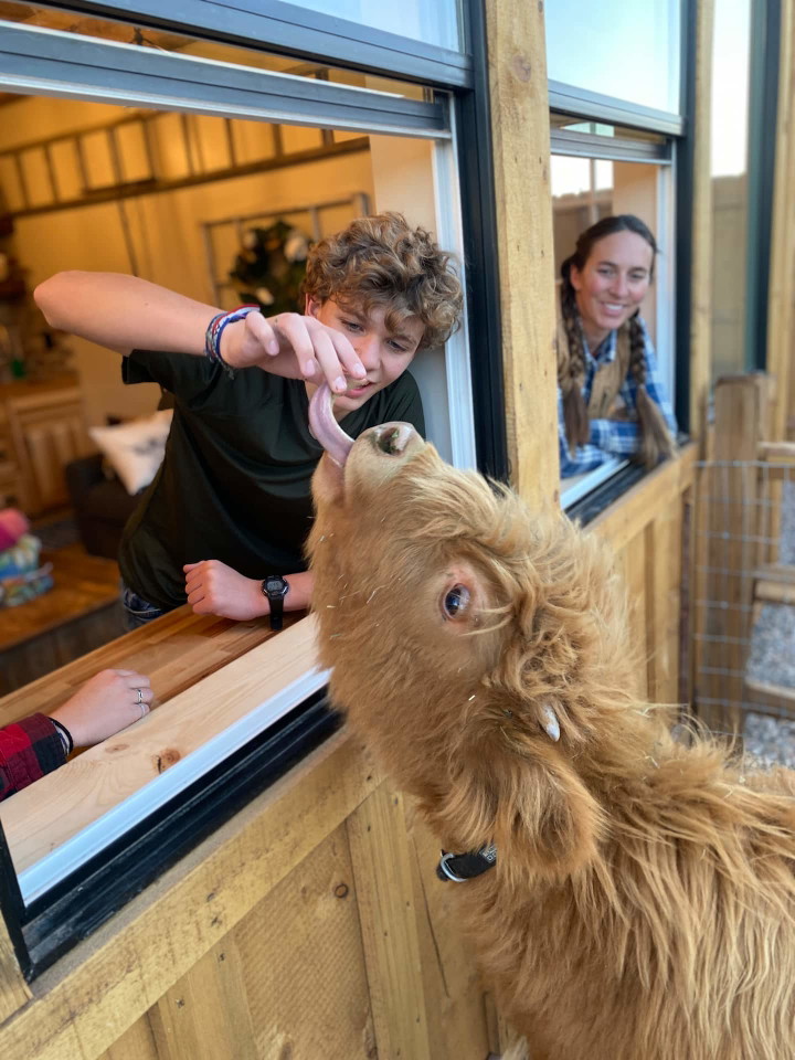 Farm House #5 - Tiny Home Near Zion - Mini Animals - Utah