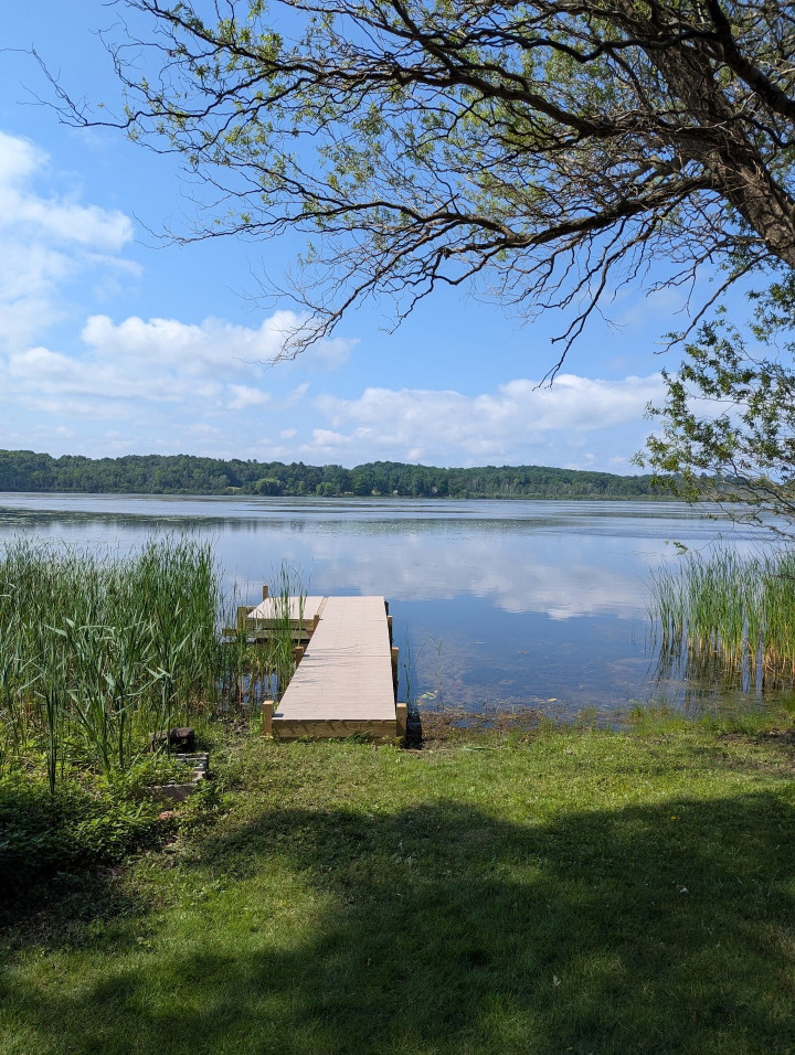 Reeds On Bar Lake - Michigan