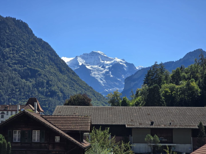 Schynige Apartment - Wengen BE
