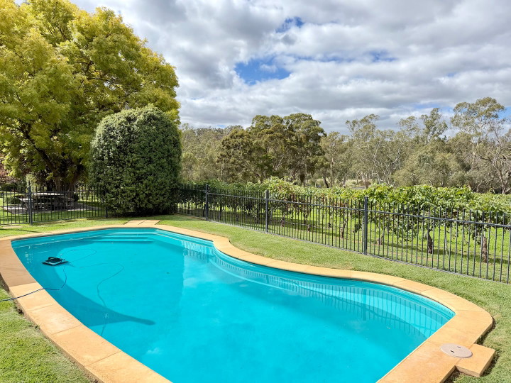Clare Valley Vineyard - Pool & Walk To Wineries - Clare Valley