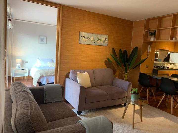 Fantastic 2 Bedroom Apartment In Providencia - Providencia, Chile