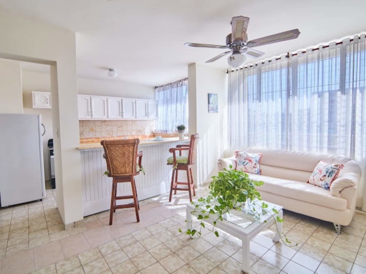 Cozy Studioapartment Furnished In Gazcue - Santo Domingo