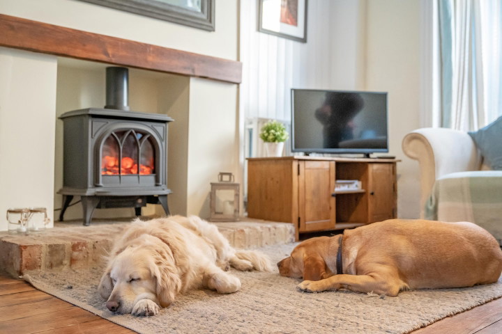 Sleeps 8 -Garden -Dog Friendly - Ravenscraig House - Runswick Bay