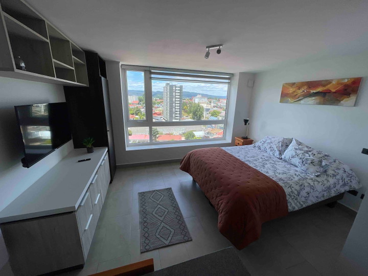 Departamento En Centro De Valdivia N*10 - Valdivia