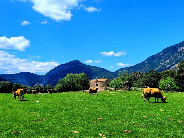 Unique Natural Setting House! - 25 Pax - Cataluña