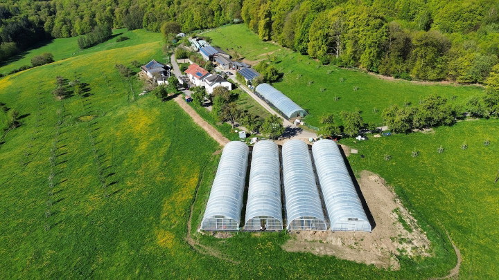Studio Bella - Gemütlich Mit Terrasse - Bollendorf