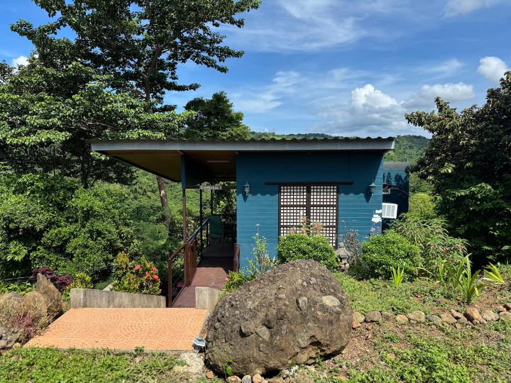Romantic Treehouse (1) By A Lush Natural Forest - Tanay