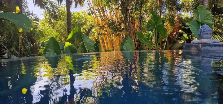 A Peace In Paradise, Mango Tree House - Seychelles