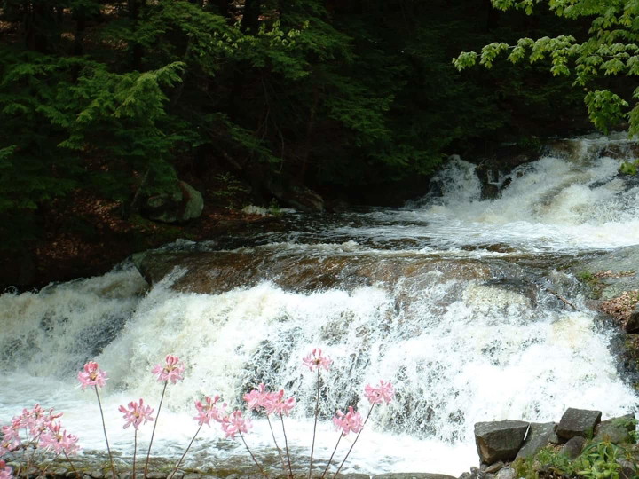 Cottage Au Bord D'une Cascade - New Hampshire