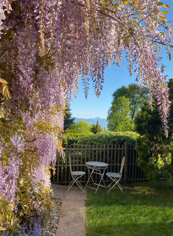 Peaceful Studio | Free Parking | City & Nature - Lausanne