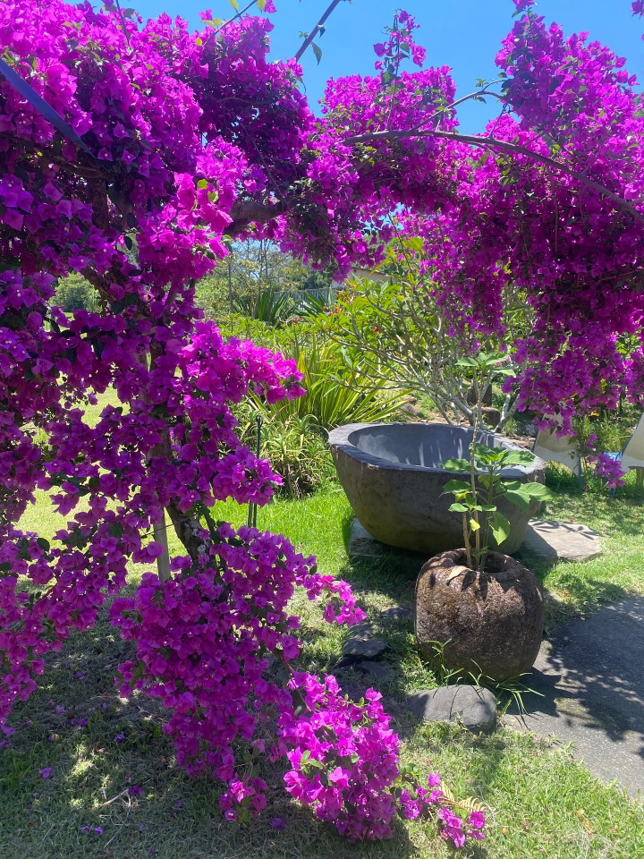 Lotus Cabin - Mullumbimby