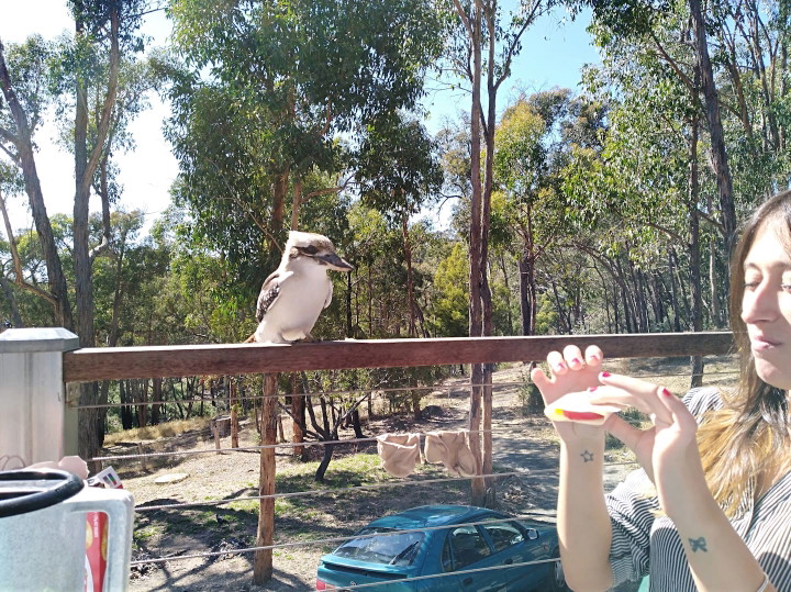 The Purple House - 2 Br, Deck, Views;long Stay - Daylesford