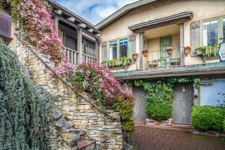 3795 The Artist's Way - Adorable Downtown Flat - Monterey