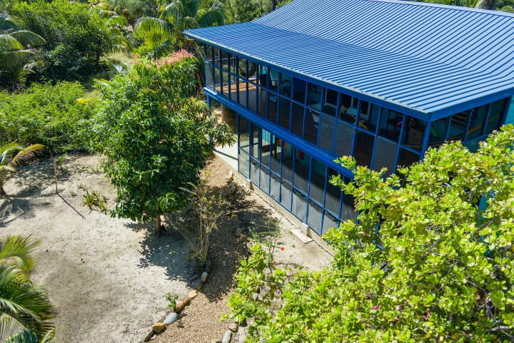 3 Bedroom-close To Beach-pool-caribbean-private - Belize