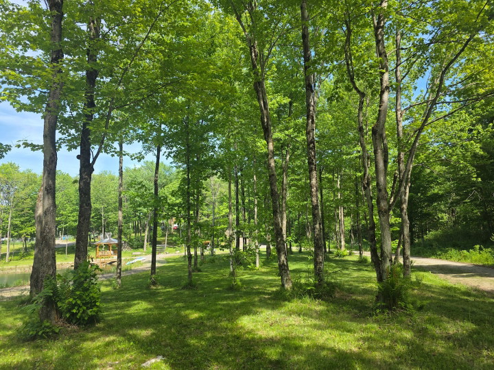 Petit Logement Rustique Sur Un Magnifique Site - Victoriaville