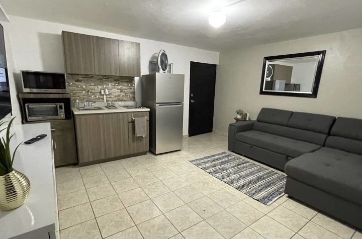 L17-b2: 1 Bedroom Large Apt. Sofa Bed & Work Area. - Caguas