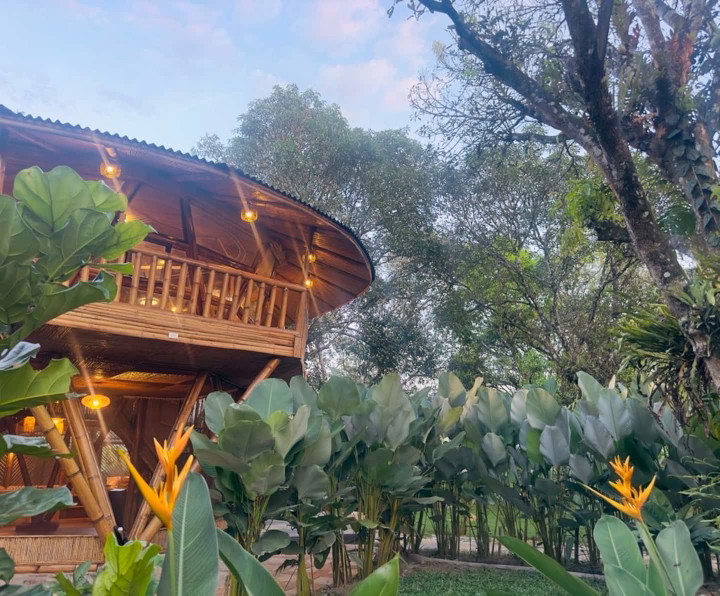 Alina Farm Resort - Manolo Fortich