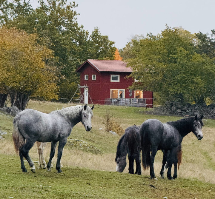 Farm Cottage W/ Open Views | Near Lake & Free Boat - Zweden
