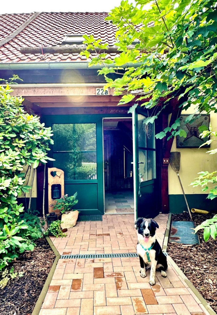 Ferienhaus Harzglück Mit Kleinem Bauernhof - Thale