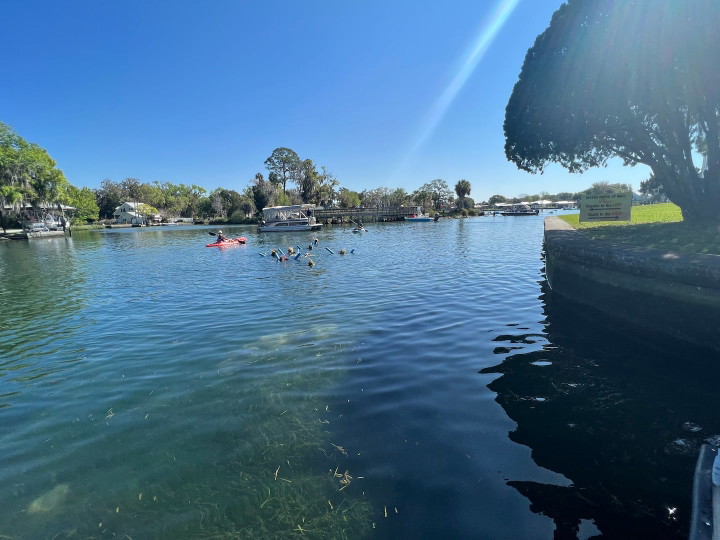 Great Hunter Springs Views! - Crystal River, FL