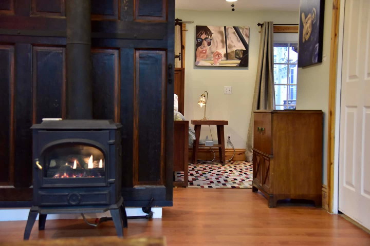 Steampunk Art Studio -Hot Tub/firepit, Walkable - Denver, CO