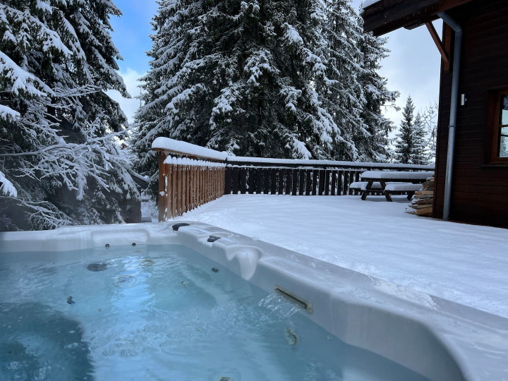Chalet Clementine Courchevel La Tania - La Tania