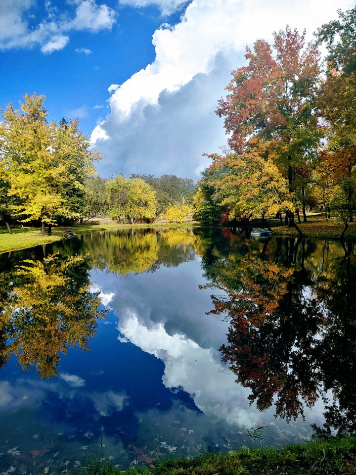 Discover Fishing, Lake & Trees - El Dorado Hills, CA