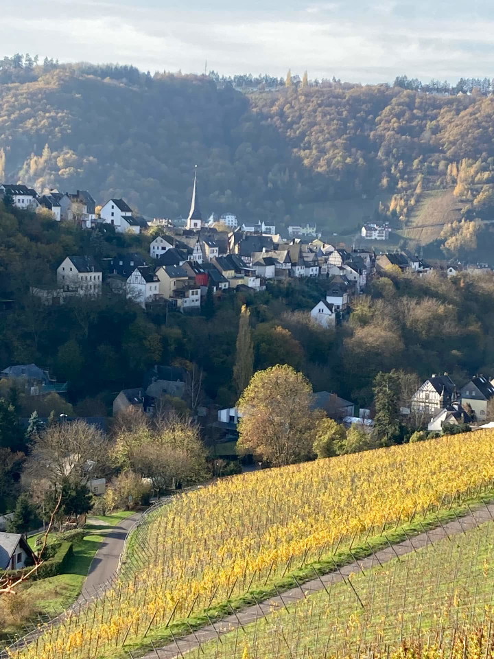 Appartement éLégant Sur La Moselle - Traben-Trarbach