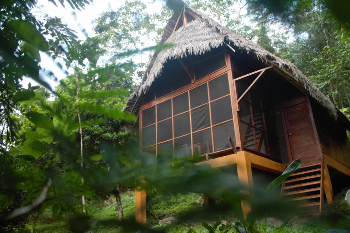 Cabaña Caimito, Selva Y Piscina - Tarapoto