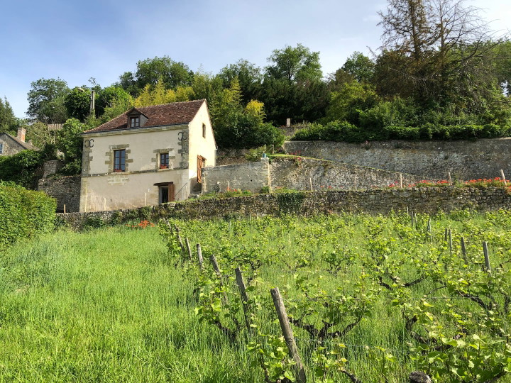 Gîte Des Vignes Blanches - Vouvray