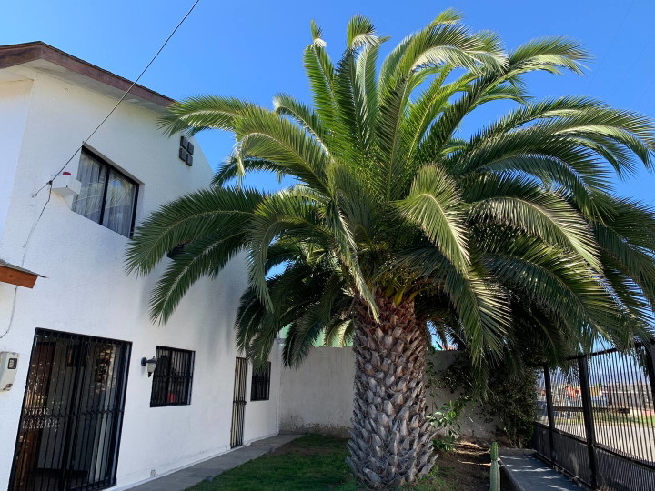 Casa Gallardo Zanetta - Coquimbo