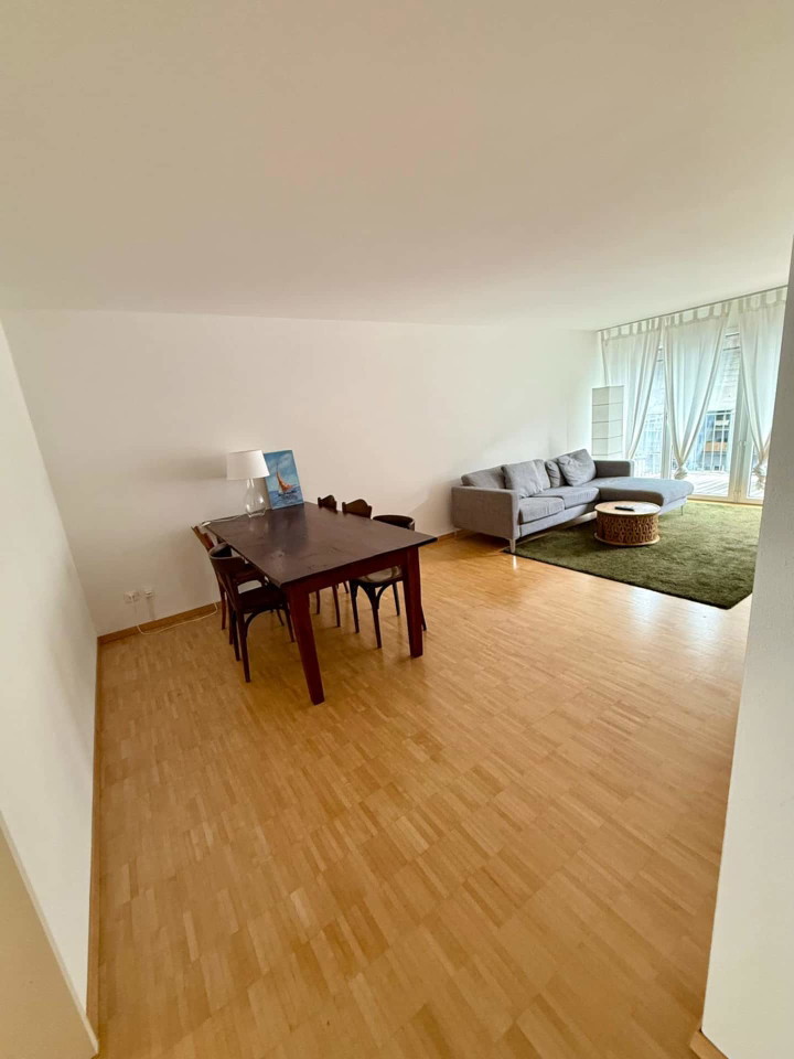 Central Apartment In Zurich-west With Roof Terrace - Zürich