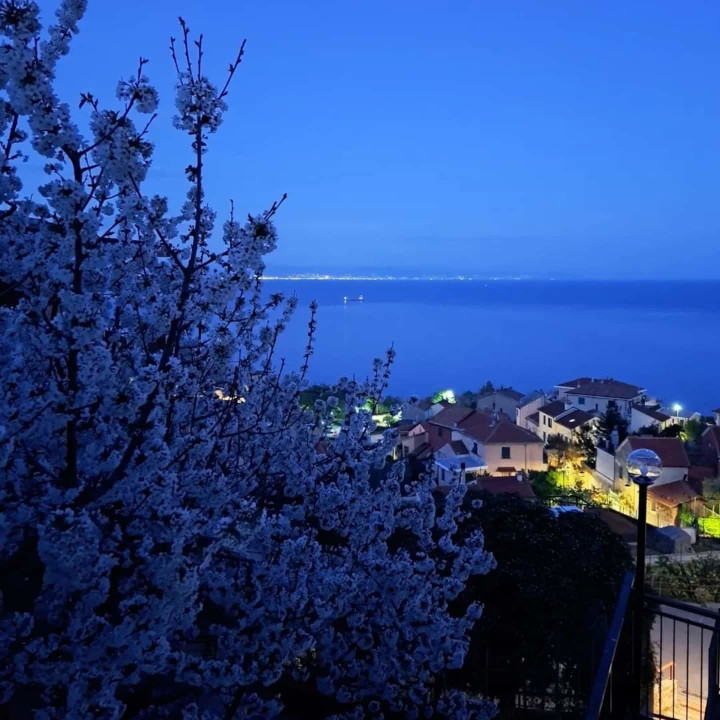 Vista Mare E Profumo Di Ulivi 9010-lt-0083 - Bergeggi