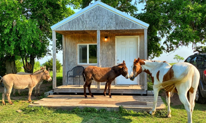 Tiny Cabin At The Donkeyranch - Oklahoma
