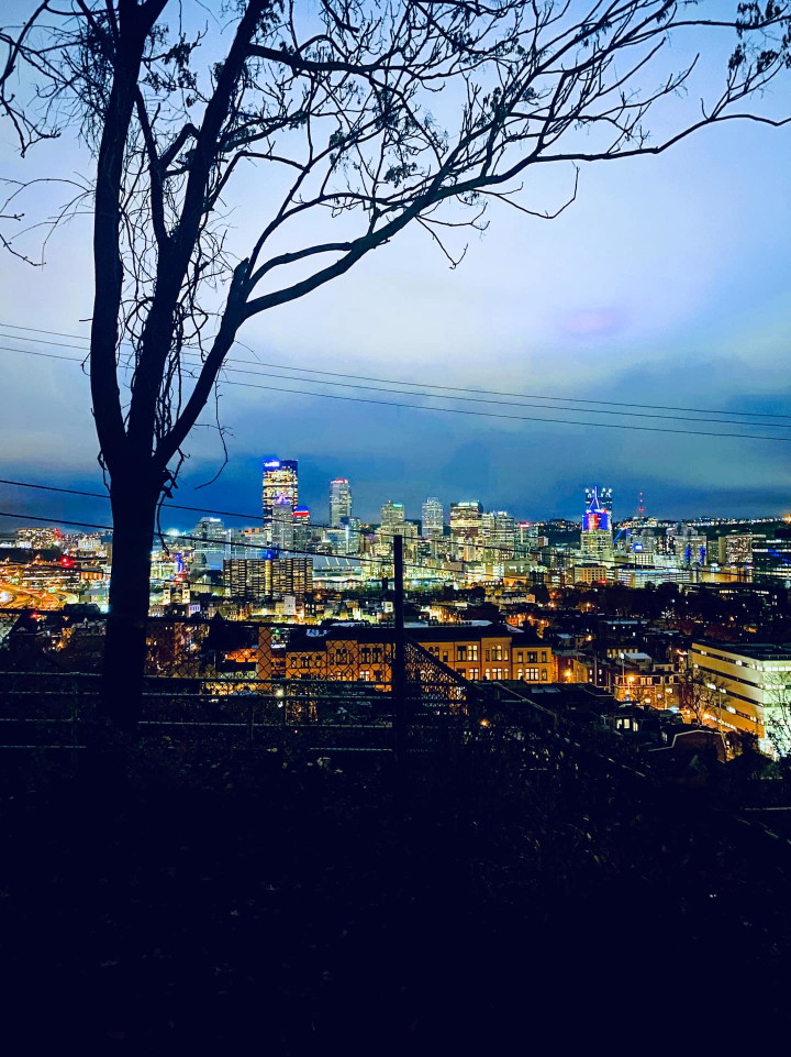 Million Dollar Backyard View! - Pittsburgh