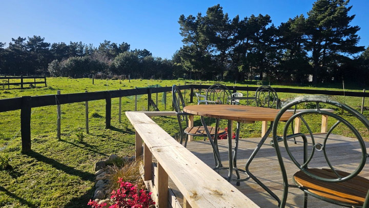 Rural Paddock Escape - New Zealand