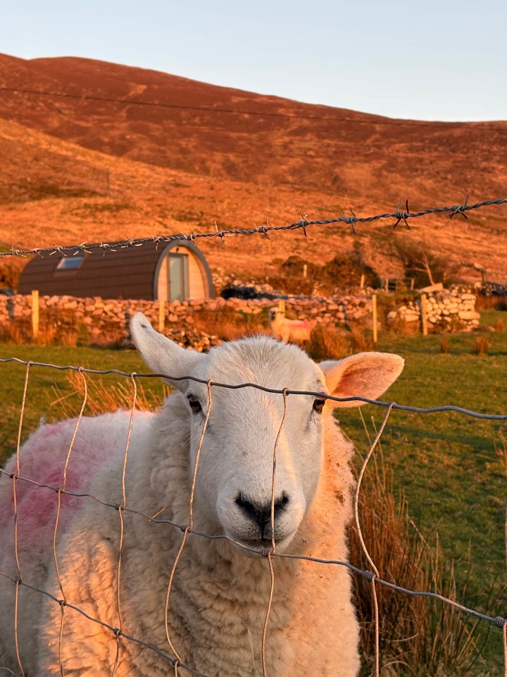Hidden Hills Luxury Farm Pod - Ring Of Kerry - County Kerry