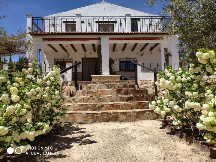 Chalet "Aire Libre" - Yecla