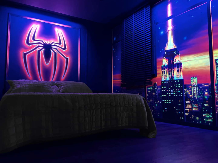 Magihom&nbsp;&nbsp;Spider&nbsp;Room (Studio&nbsp;8' Disneyland) - Bailly-Romainvilliers