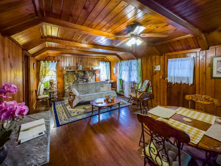 Hummingbird Haven ~ A Rustic Cabin - Fairview, TN