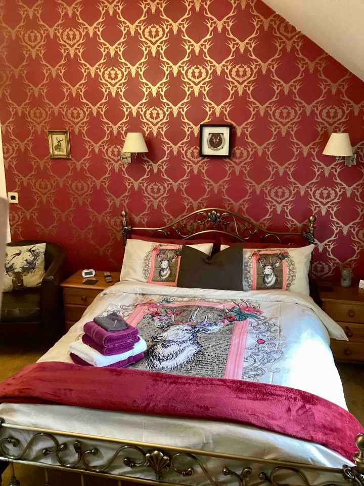 Picturesque Room With A View - Rowardennan