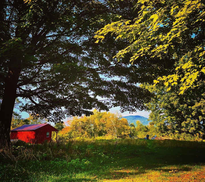 Glamping Cabin With Private Pond And Mountain View - Manchester, VT